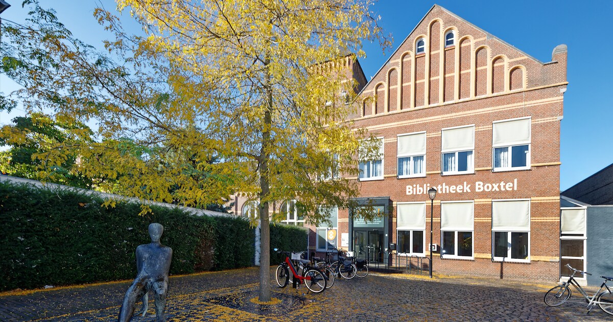 Expositie Sprekende Stenen in bibliotheek Boxtel: stenen die verhalen ...