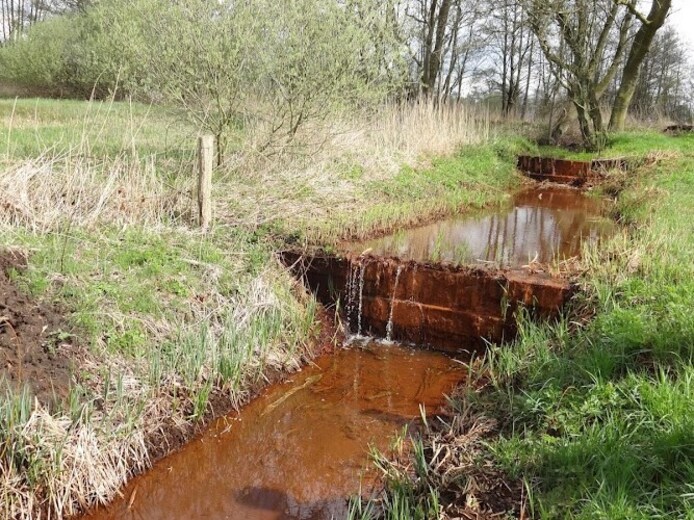 EigenWIJS(T) nieuw evenement over de bijzondere natuur van de breukrand ...