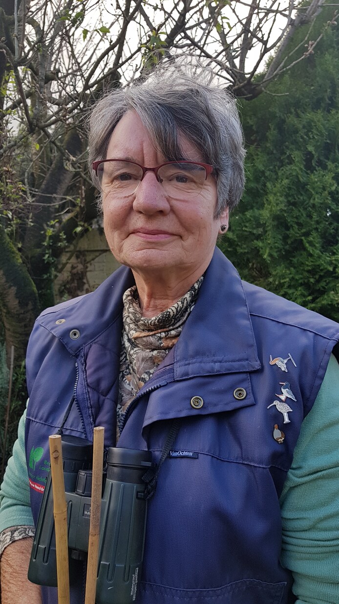 Onderscheiding Schijndelse Wil Hettema voor zorg voor weidevogels | Meierijstad | bd.nl