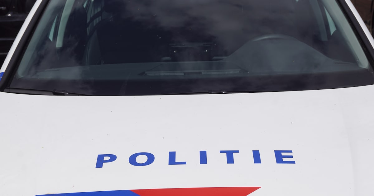 Agent betrapt in vrije tijd winkeldief bij Nettorama in Ravenstein ...