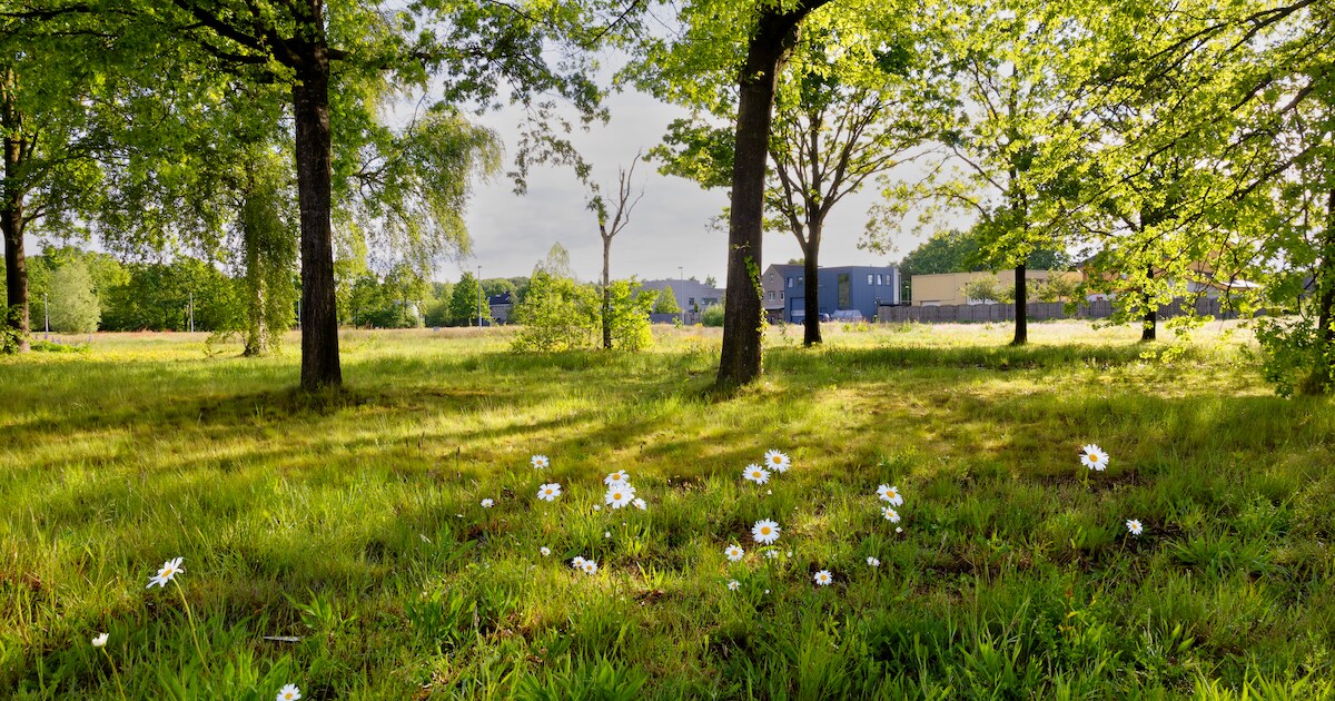Eindhoven ziet ruimte voor 146 woningen op Park Forum Zuid, ook plek ...