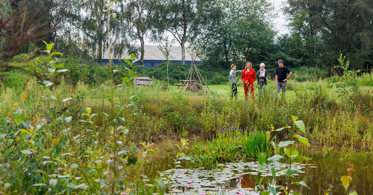 Nikki en Jeroen laten in hun Moergestelse tuin anderen de kunst van het ...
