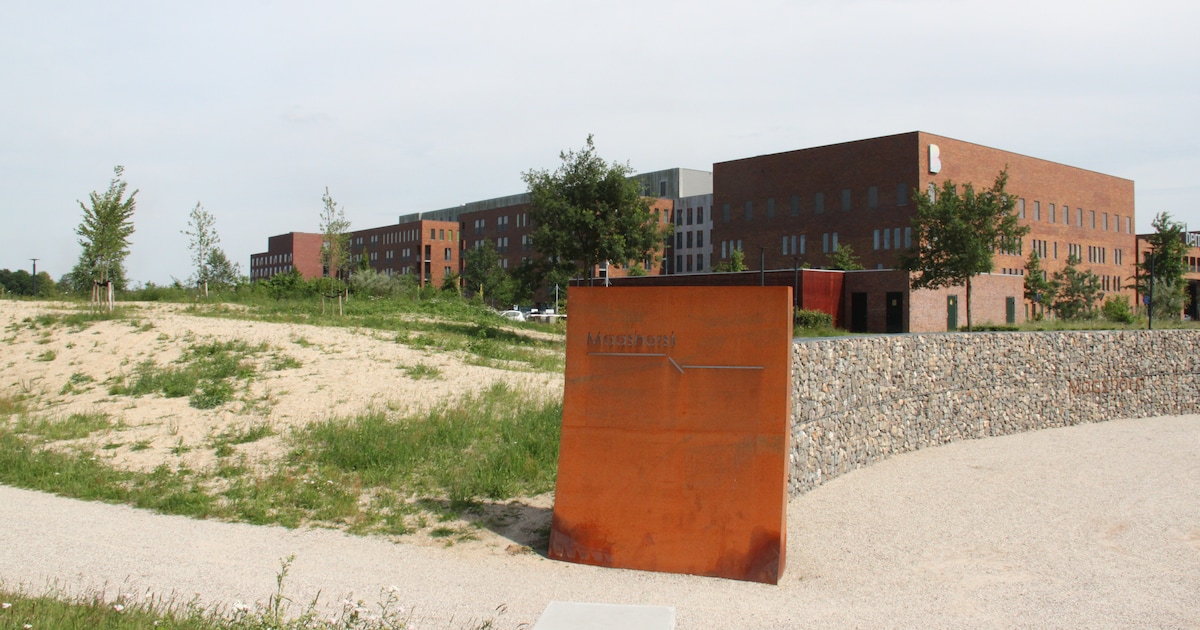 Ziekenhuis Bernhoven weer in de plus: 4 miljoen euro. Zorgen nog niet voorbij | Maashorst | bd.nl