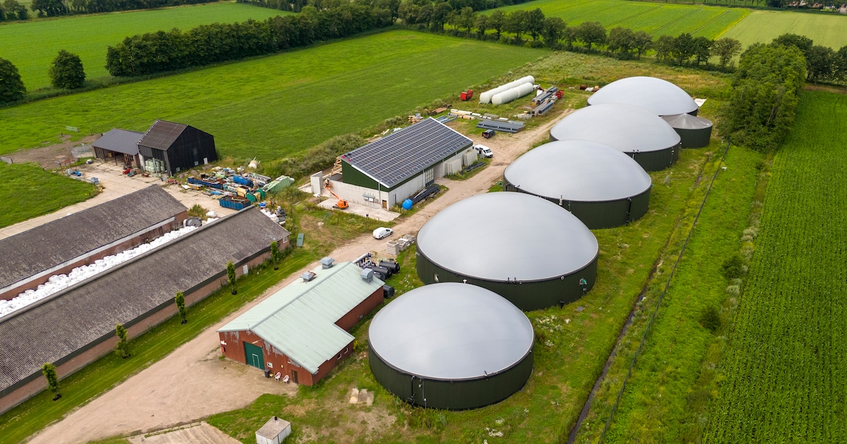 Biogasfabriek Nistelrode verliest slag om natuurvergunning | Regio | BD.nl