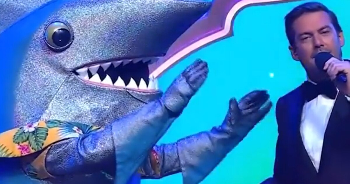 Pakken Masked Singer-finalisten geveild voor het goede doel | Show | bd.nl