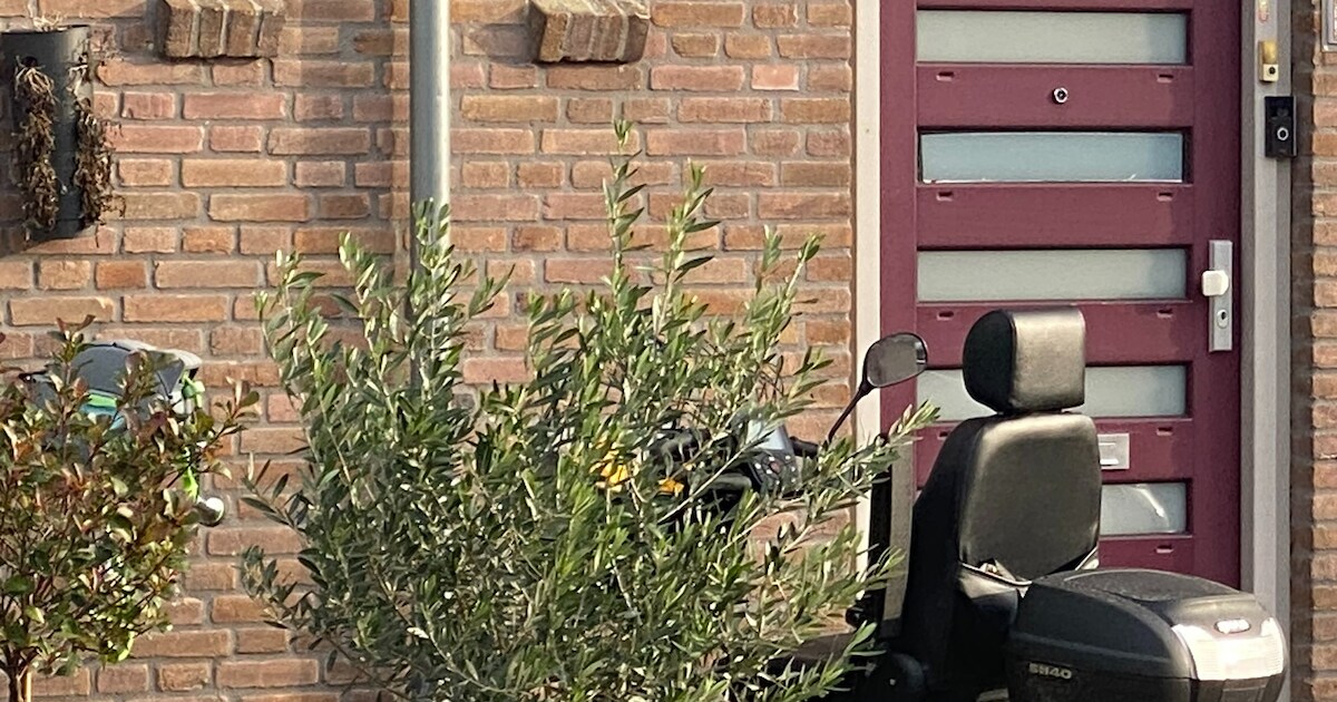 Stalling voor scootmobiel of fiets in de voortuin? Veldhoven gaat ...