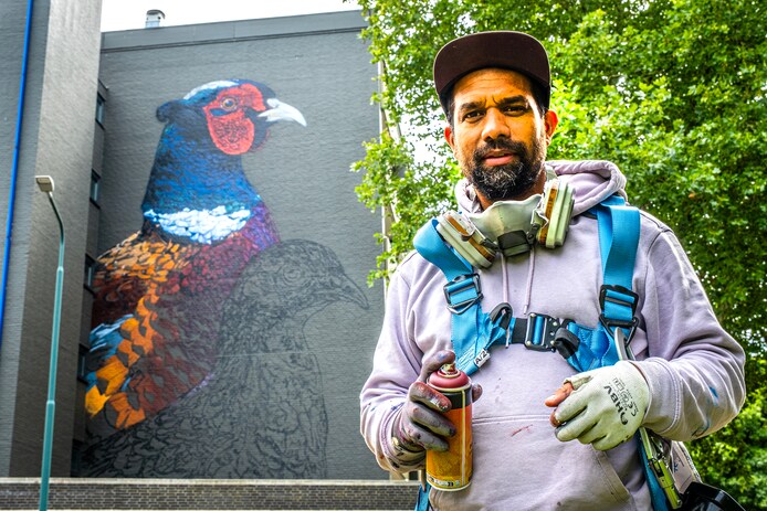 Kunstenaar fleurt Cuijk op met reusachtige schilderingen van fazanten ...