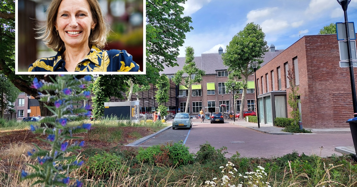 Oppositie schiet met scherp op begroting Goirle: ‘Er blijft zoveel ...