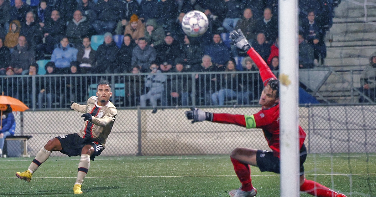 FC Den Bosch blijft ver verwijderd van sensatie: ‘Ajax freewheelde ...