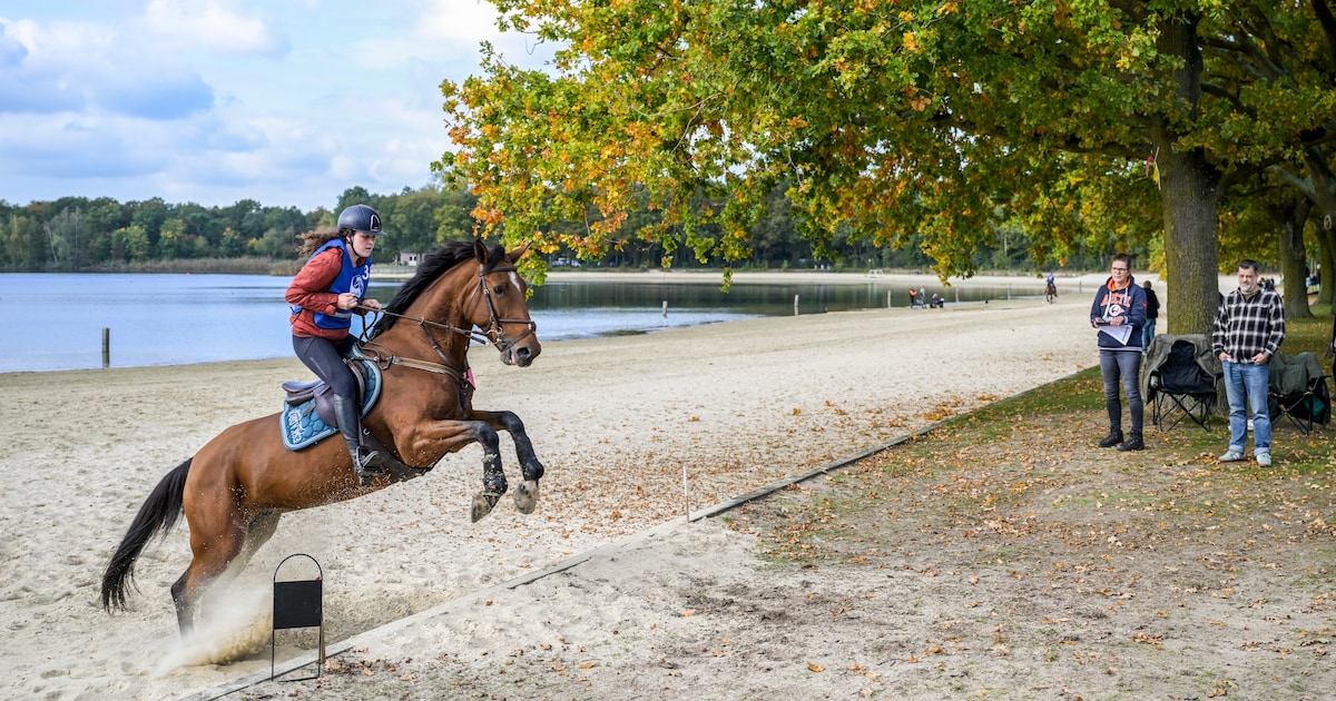 Ruiters én paarden worden getest tijdens uitdagende wedstrijd bij de ...