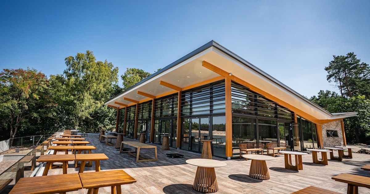 Geen picknickkleed meer nodig aan ’t Zand, recreatiepark opent ...