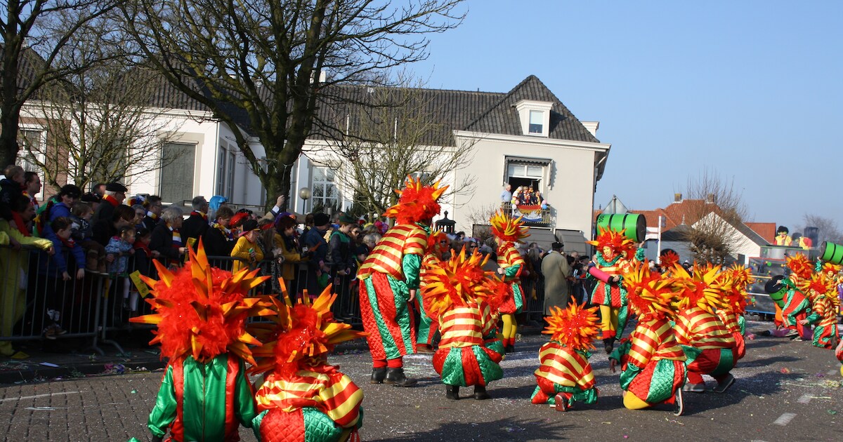 Optocht Bokkendonk (Sint-Michielsgestel) lint van dwazen | Extra | BD.nl