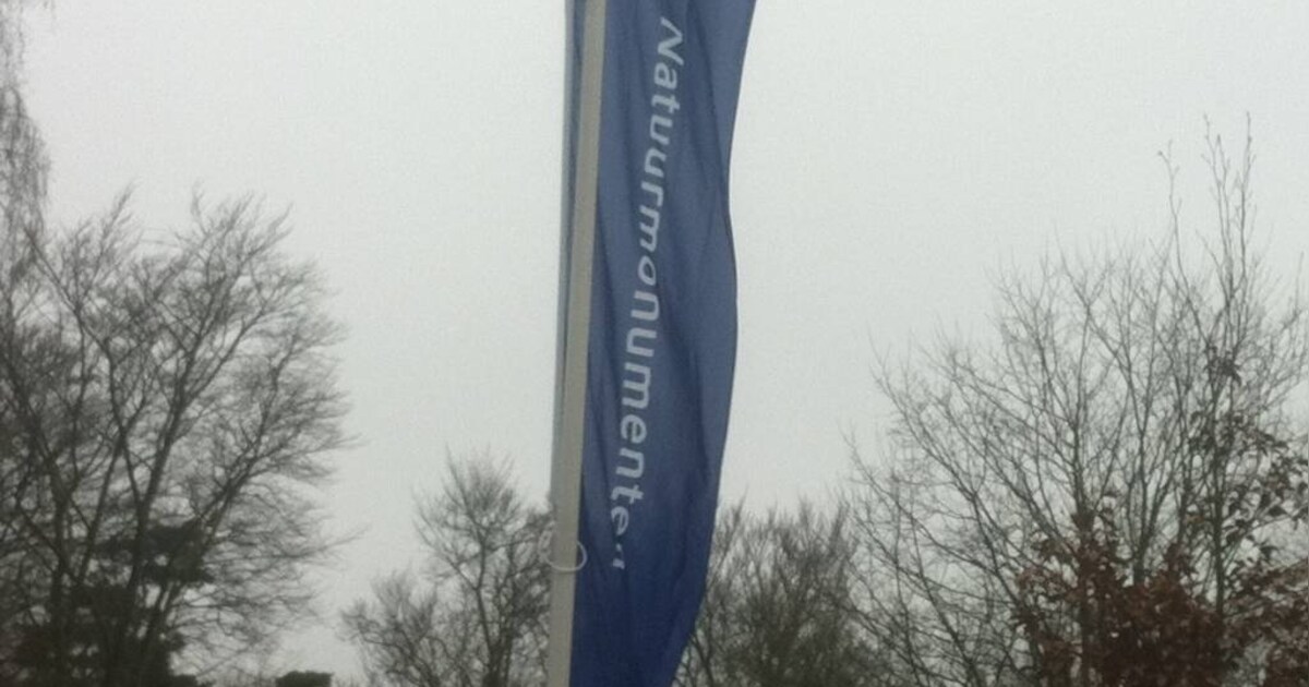 Oisterwijkse holenduiven te volgen via webcam | Oisterwijk | bd.nl