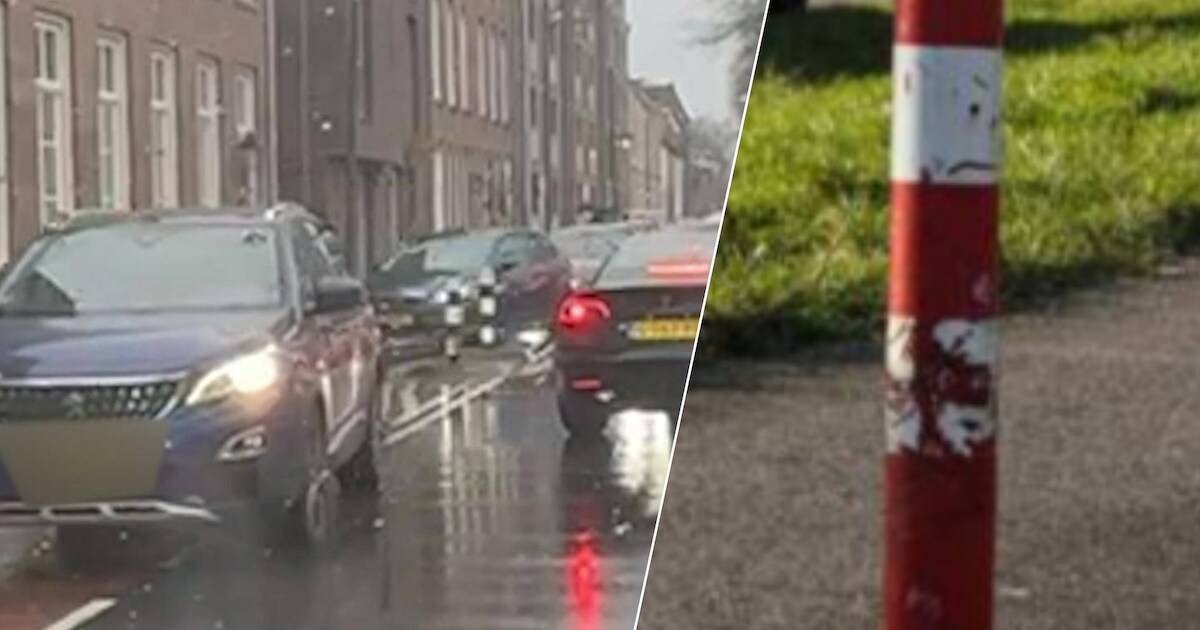 Auto’s massaal over de stoep langs het kanaal? Den Bosch steekt daar ...