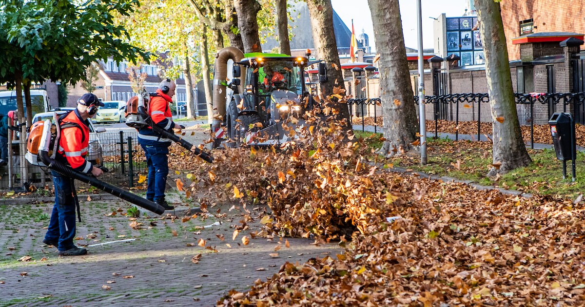Het geluid van een jankende benzinemotor wekt me vroeg in de morgen. En ...