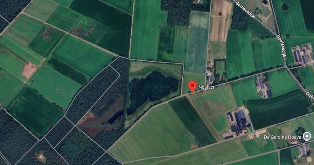 Hilvarenbeek krijgt een groter heidegebied én een nieuw stuk bos van ...