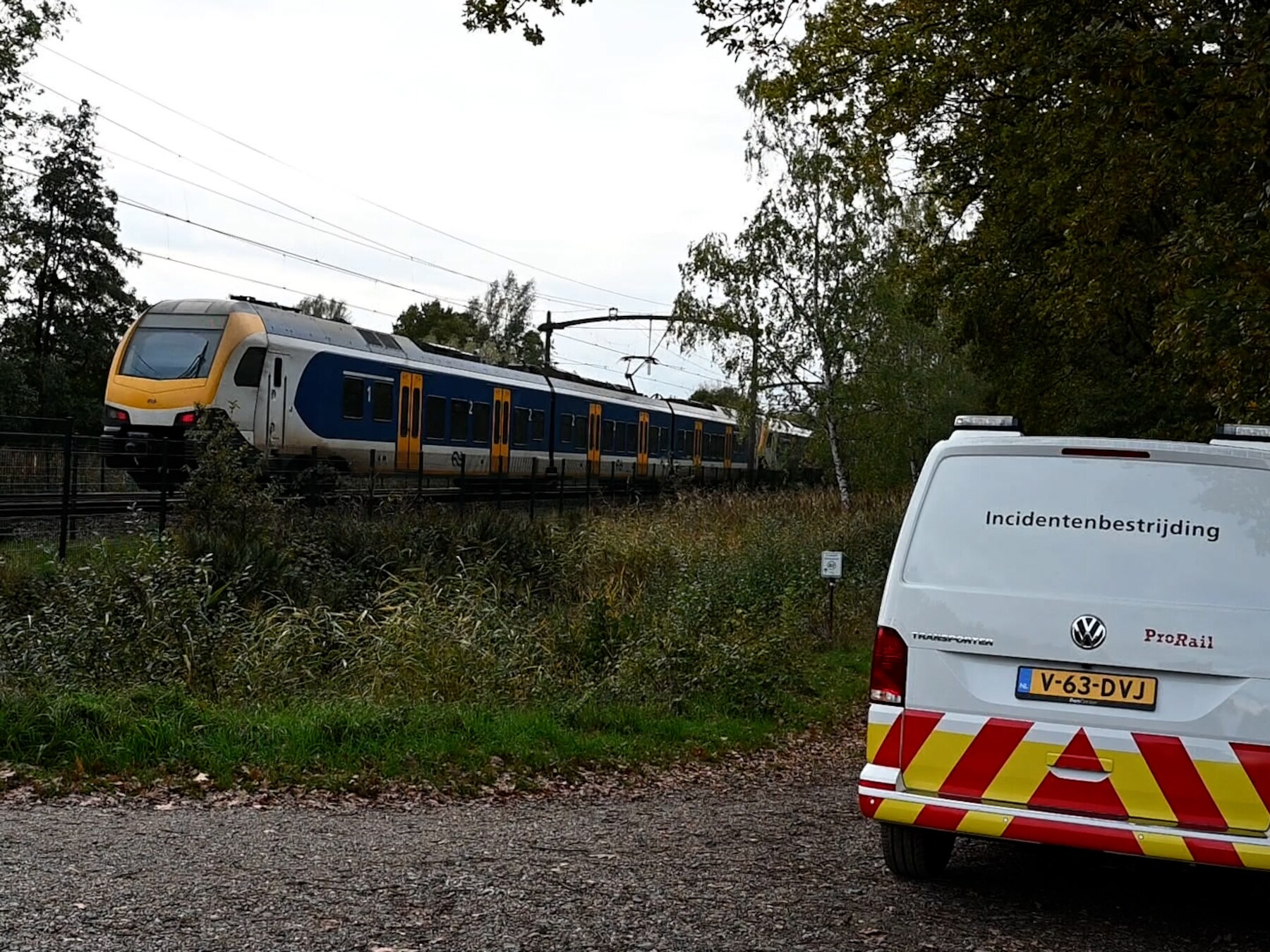 Jumbo kiest voor brood van Goedhart: wat betekent die megaorder voor de ...