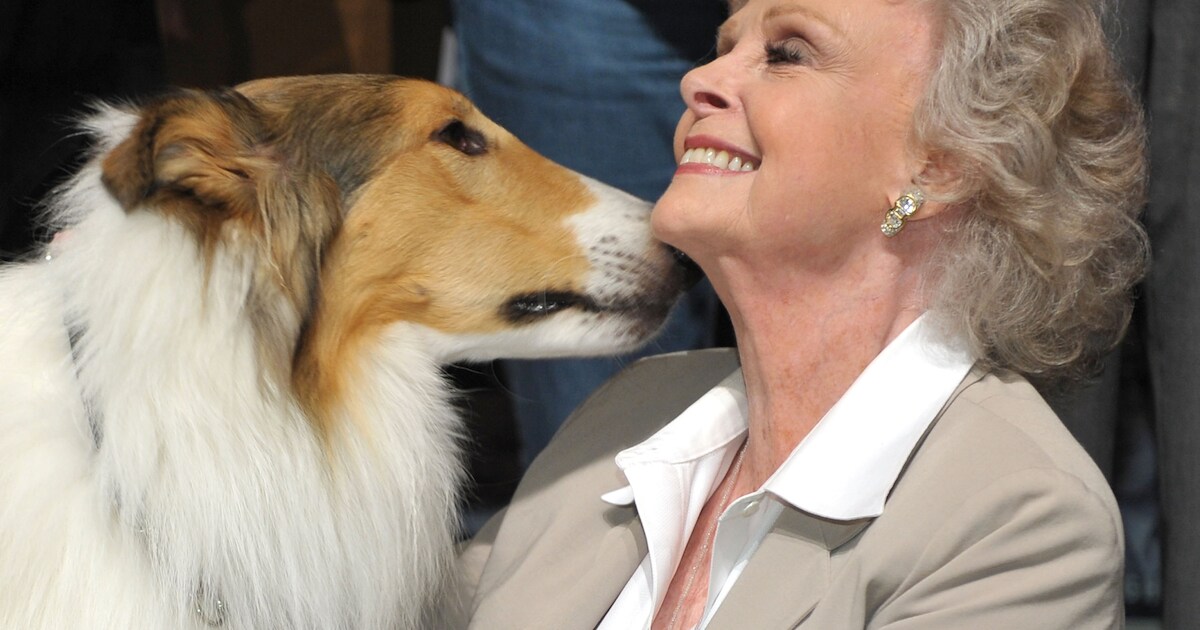 Actrice June Lockhart (100), iconische moeder uit Lassie en Lost in ...