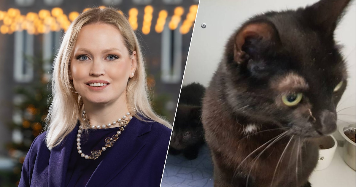 Vraagtekens bij euthanasie op dieren in Helmond: ‘Strijdig met de wet ...