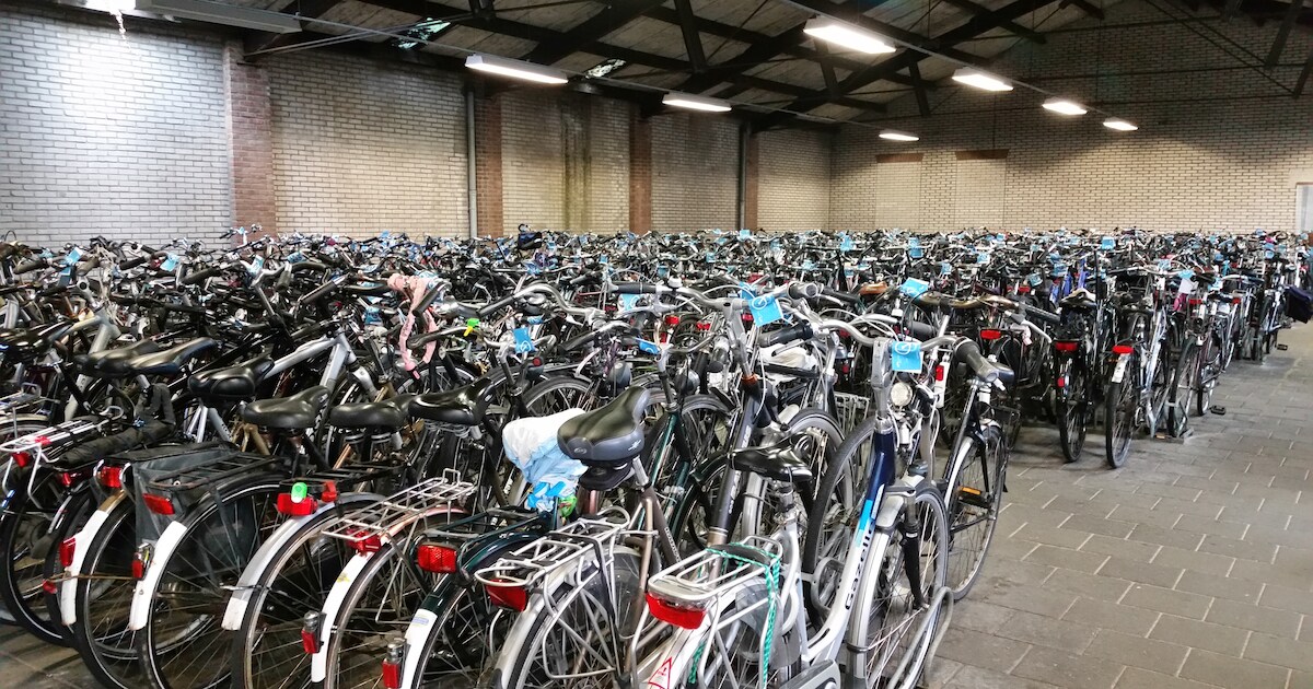 Zorgen om gratis bewaakte fietsenstalling Spoorlaan Oss | Stadsgezicht ...