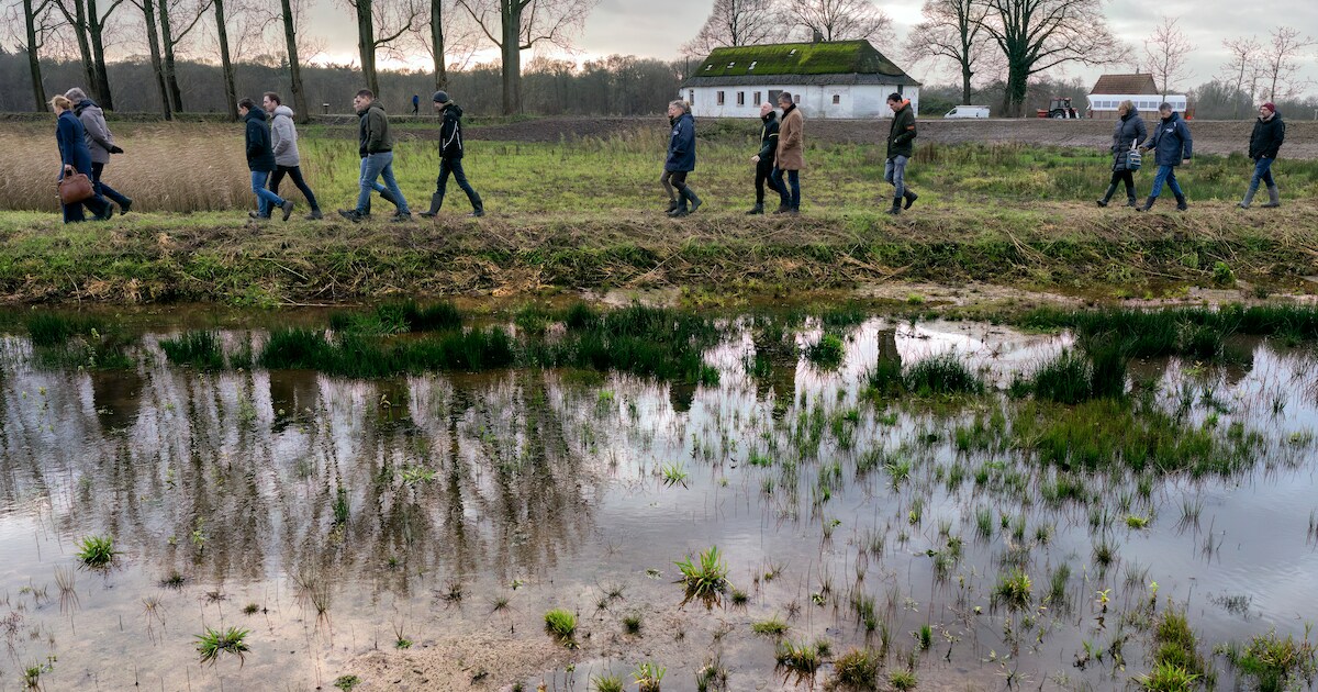 De Natte Parel zorgt voor droge voeten én meer natuur na metamorfose ...
