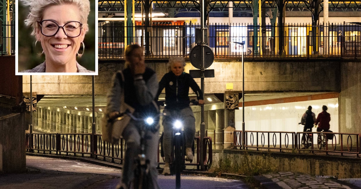 ‘Schokkende cijfers’ over vrouwonveiligheid in Den Bosch; PvdA wil een ...
