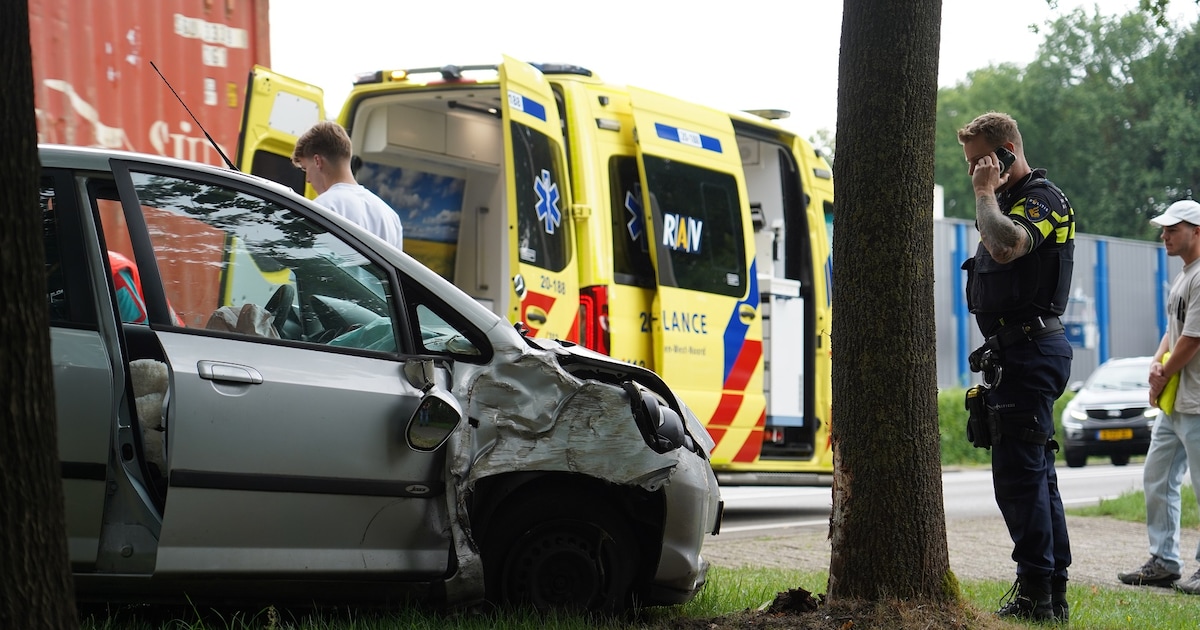 Bestuurster botst tegen boom en raakt gewond in Molenschot, grote schade aan auto | 112 nieuws ...