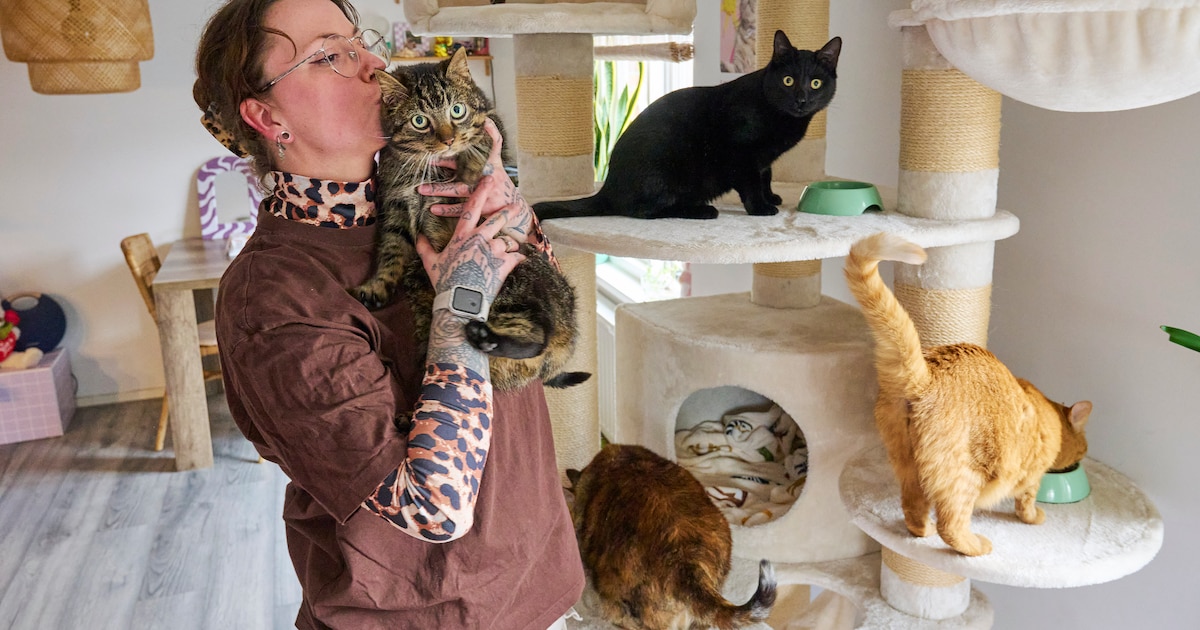 Kat Appie keert na anderhalf jaar weer terug in armen van huilend ...