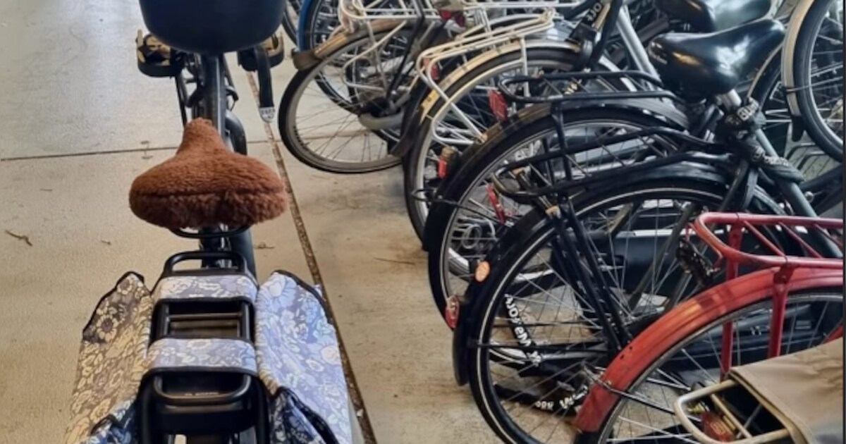 Fietsendief uit Den Bosch knipt slot door voor ogen van wijkagent | Den ...