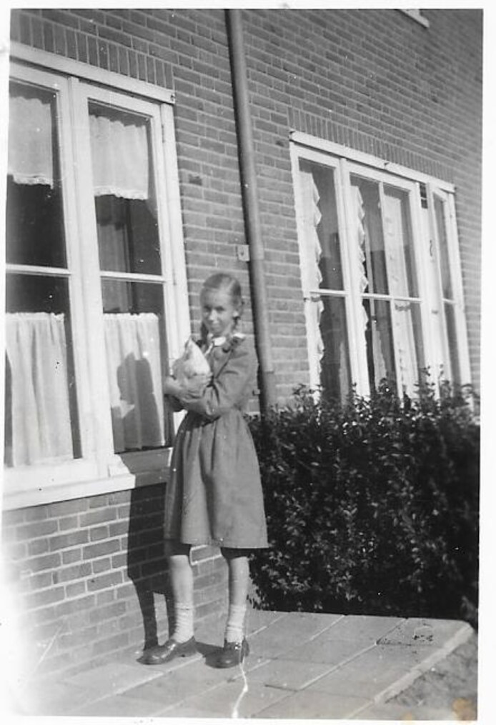 Het kippenverdriet op de N65 deed mij denken aan het trieste einde van ...