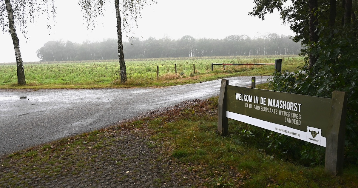 Goede ideeën gezocht voor natuurgebied De Maashorst: duizend euro ...