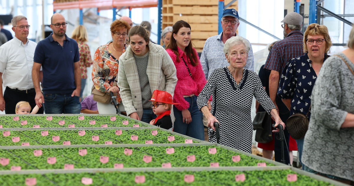 Drukbezochte Boerenerfdag brengt jong en oud samen: van boetmachines tot zaadjes planten ...