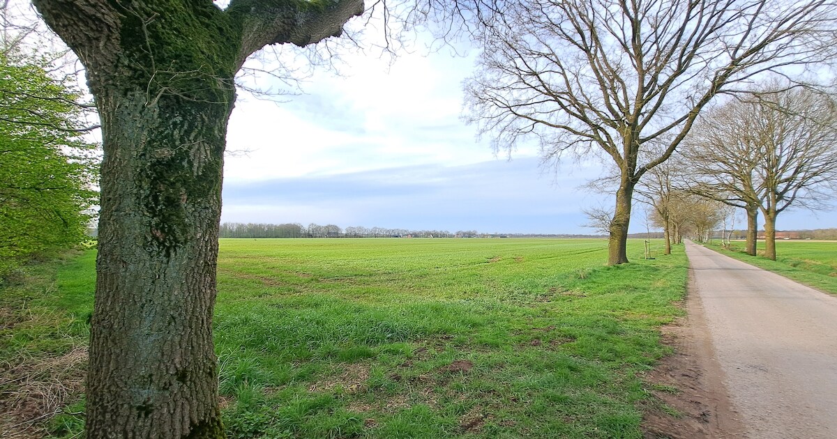 Vergunningen zonneparken Haghorst en Diessen voorlopig van de baan ...