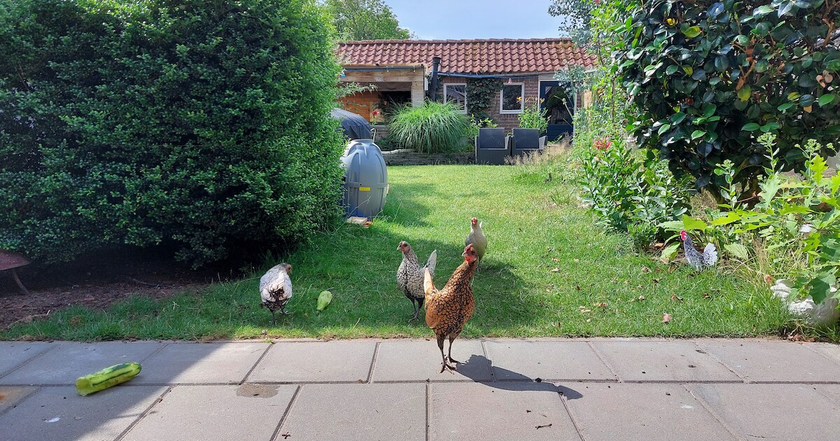 Rebecca en Tim wijken niet nóg eens voor sloopkogel van BrabantWonen ...