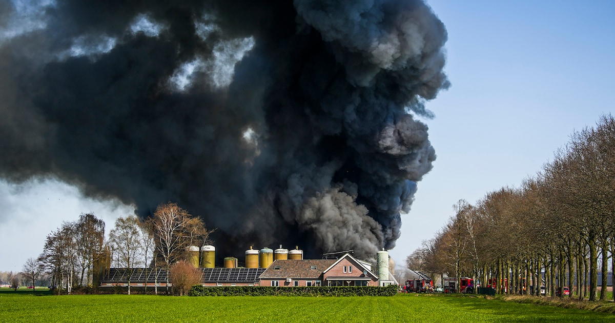 Nog steeds veel stalbranden: gemiddeld sterven per brand 3095 dieren ...