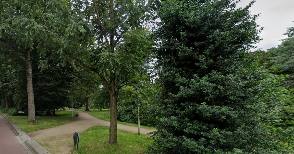 Man zwaait met groot mes tijdens vechtpartij in Tilburgs park | Regio ...