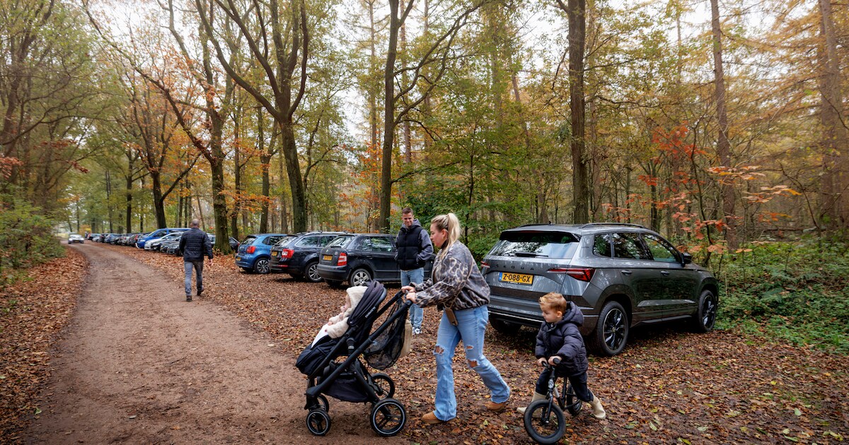 Brabant wil toch auto’s weren rond natuur na commotie over ‘Tesla ...