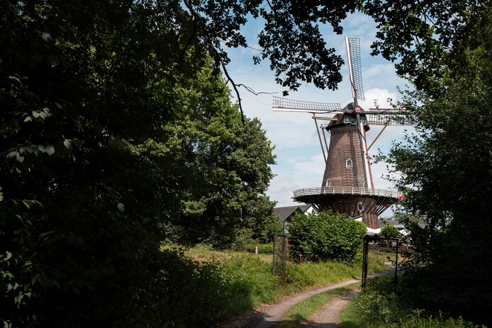 Bomen in Nieuwkuijk moeten wijken voor de molen: dat zien omwonenden ...