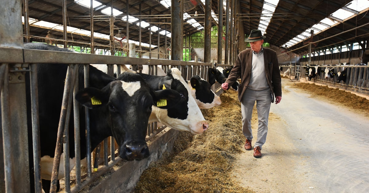 Familie Van Puijenbroek doet koeien op landgoed Gorp en Roovert aan de ...