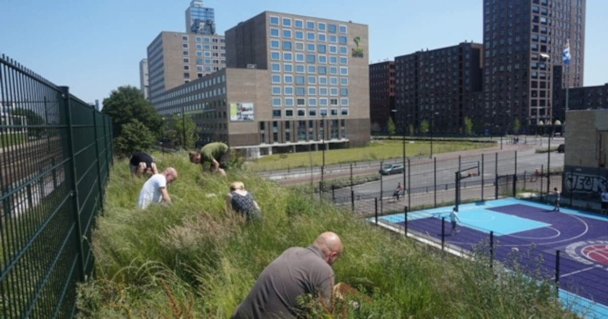 Burger mag ook van raad een park maken op het Van Gend & Loosterrein in ...