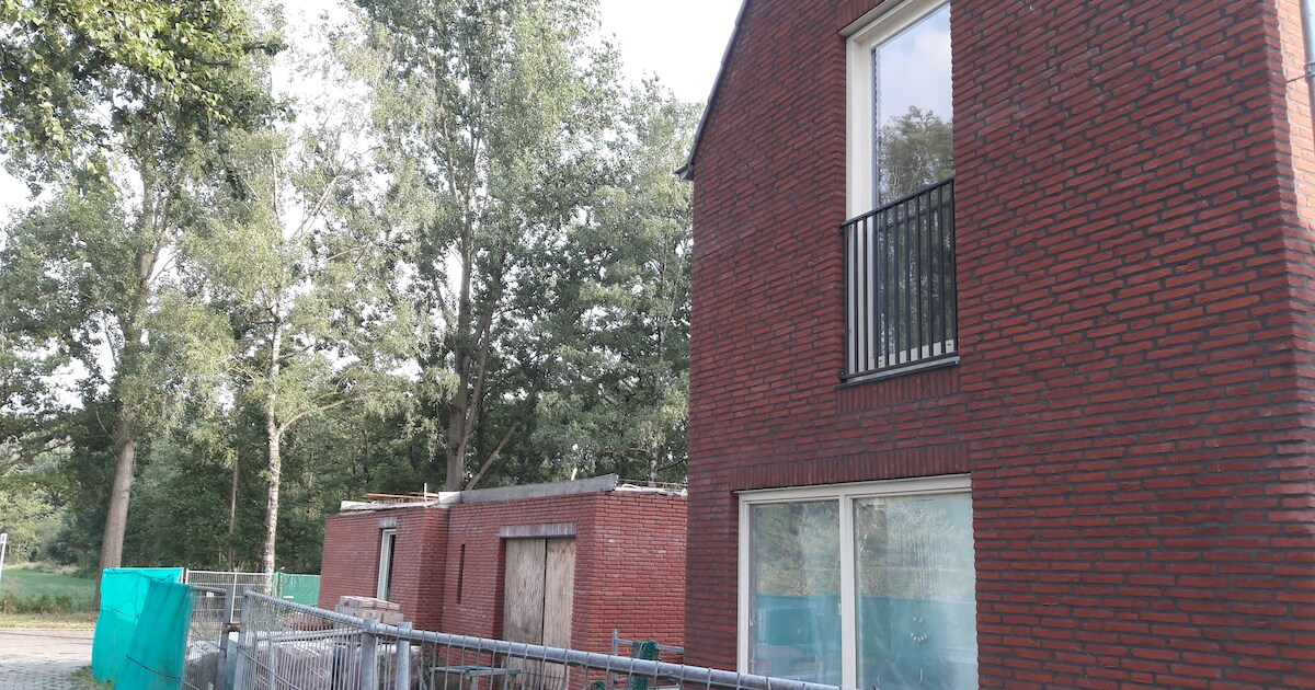 Slak bouwt een huis in Oisterwijk: Wolvensteeg ergert zich al vijf jaar ...