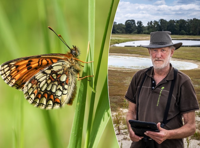 Natuur in boerenland: goed voor de muizen en dus ook voor de uilen ...
