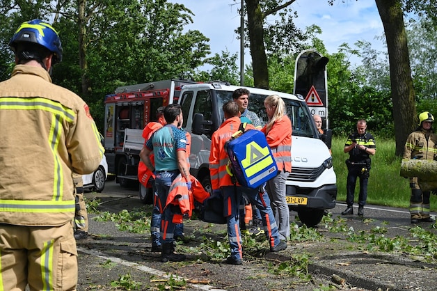 Bestuurder overleden nadat boom op auto valt in Boxtel | Regio | BD.nl