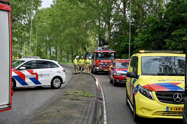 Bestuurder (45) overleden nadat boom op auto valt in Boxtel | Regio | BD.nl