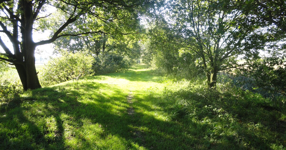 Maashorst gaat landschap en natuur in de gemeente koesteren en ...