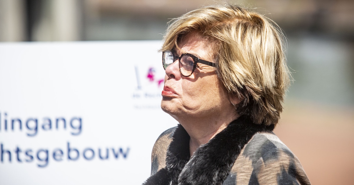 Miljonair Sanderink en ex opnieuw voor rechter, ex wil dat ...