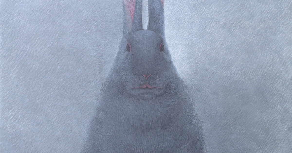 Shao Fan: bij de konijnen af zo goed | Den Bosch, Vught | BD.nl