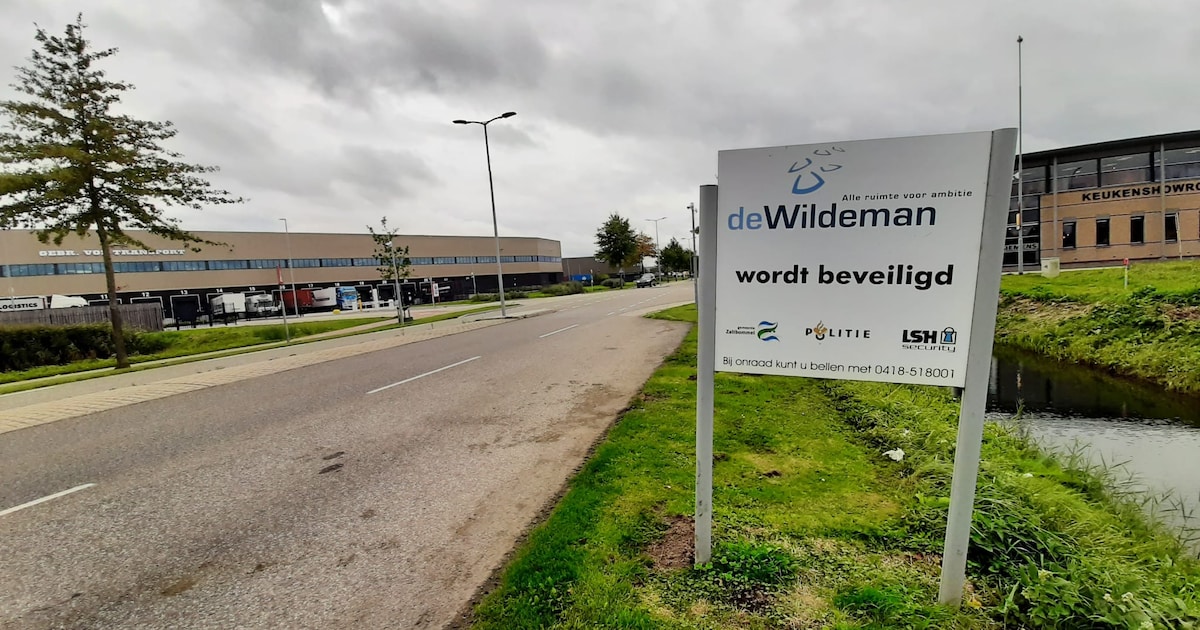 Bedrijventerrein De Wildeman wil nog uitbreiden, maar stroomvoorziening ...