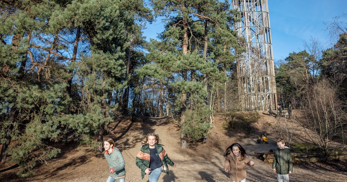 De Maashorst krijgt eindelijk een uitkijktoren van 23 meter hoog voor ...