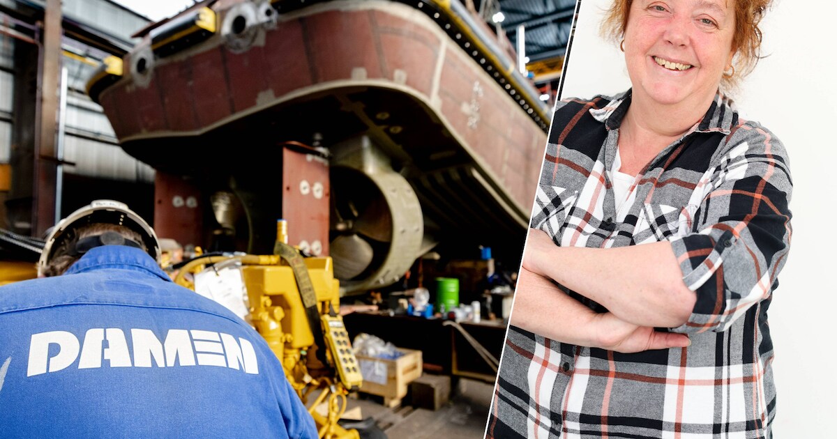 Waarom deze zaak tegen Damen Shipyards een keerpunt is voor Nederlands grootste scheepsbouwer ...